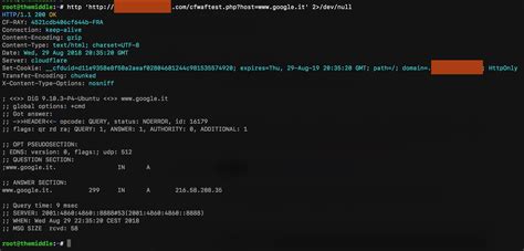 Web Application Firewall Waf Evasion Techniques 3