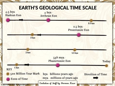 The Timeline Of The Phanerozoic Eon