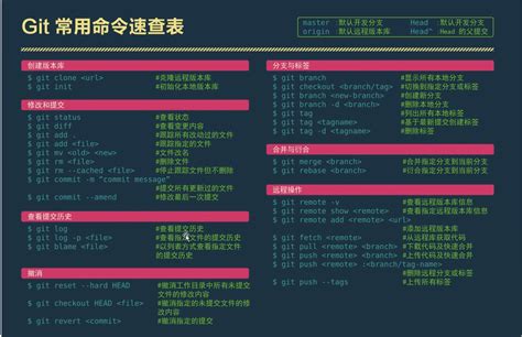 git入门 全网最详细 csdn博客