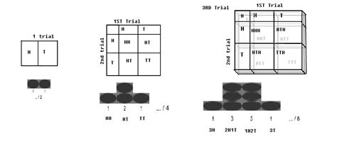 How To Read The Tdistribution Table Statology