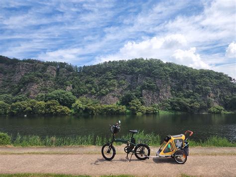 엘파마 스키드fs 전기자전거 팝니다 사수동 스포츠레저 당근 중고거래
