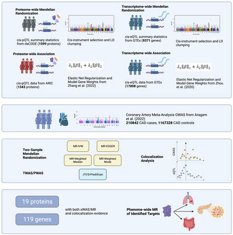 Instrumental Variable And Colocalization Analyses Identify Endotrophin