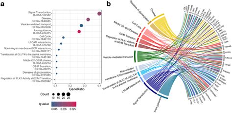 Reactome Pathways Analysis Panel A Shows A Dot‐plot With Significantly