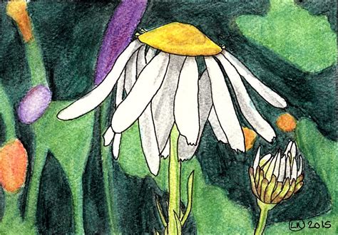 How To Take Care Of A Cow Parsnip Burn Alaska Herbal Solutions