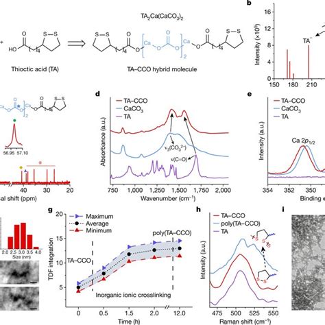 Covalentionic Bicontinuous Network A Optical Photograph Of The Download Scientific Diagram