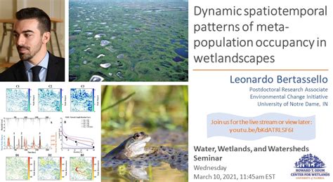 Dynamic Spatiotemporal Patterns Of Metapopulation Occupancy In