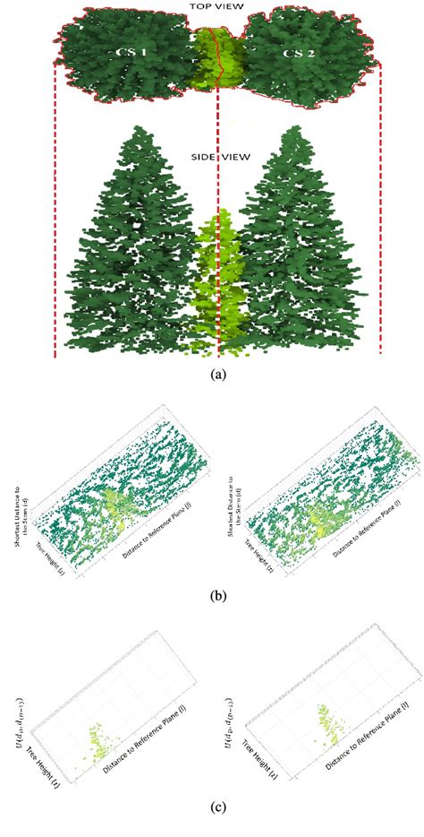 Figure 10 From A Local Projection Based Approach To Individual Tree Detection And 3 D Crown