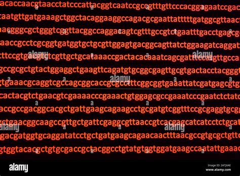 Base Sequence Of Dna