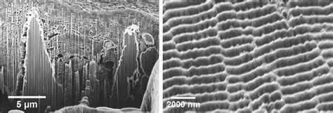 Left Fib Prepared Cross Sections Of Laser Treated Silicon L Si Download Scientific Diagram