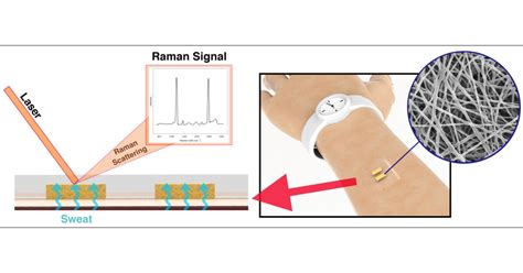 Fabrication Of A Wearable Flexible Sweat Ph Sensor Based On Sers Active