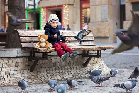 테디 베어 장난감을 가진 패션 유아 소년 도심에서 Trdlo라는 전통적인 체코 달콤한 과자를 먹고 거리에 대한 스톡 사진 및 기타 이미지 Istock