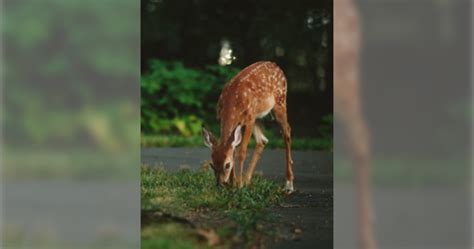 Ce17d2144aa62b651f627810c38294e8 Jerry Duncan Png