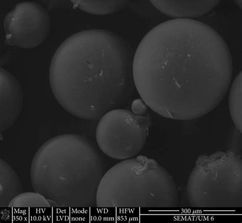 Scanning Electron Microscopy Micrographs Of Citronella Loaded