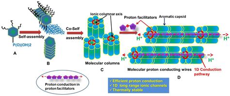 Proton Conducting Membranes With Molecular Self Assemblies And Ionic