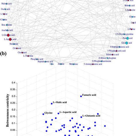 Visualization And Analysis Of The Metabolic Correlation Network Based Download Scientific