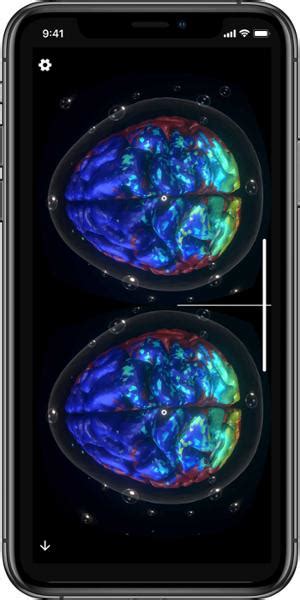 Brain Simulation Section Homepage