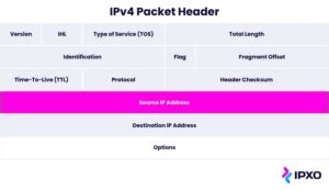 IPv4 Packet Header Format And Structure IPXO