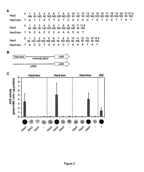 Lichen Products Patented Technology Retrieval Search Results Eureka Patsnap