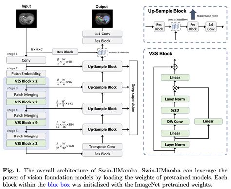 swin umamba：基于mamba和imagenet预训练的医学图像分割模型 知乎