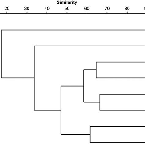 dendrogram from unweighted pair group method with arithmetic mean