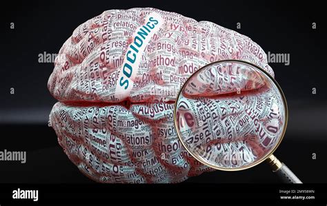 Socionics And Human Mind Hundreds Of Crucial Concepts Related To Socionics Projected Onto A