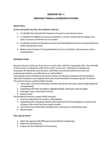 Exercise-No.-7-Nervous-Tissue | PDF | Central Nervous System | Nervous System