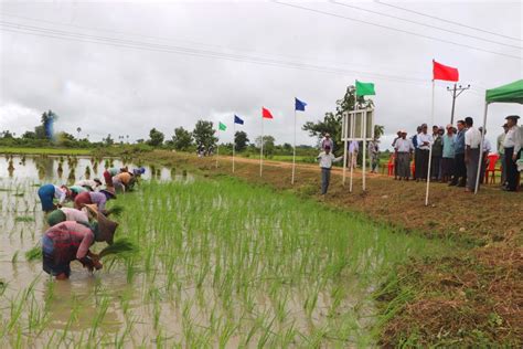 ပဲခူးတိုင်းဒေသကြီး ဝန်ကြီးချုပ် ဦးမျိုးဆွေဝင်း ပြည်မြို့နယ်အတွင်း စိုက်ပျိုးရေးကဏ္ဍဘက်စုံဖွံ့ဖ