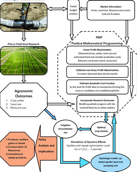 A Diagram Depicting Multidisciplinary Research Using Positive Download Scientific Diagram