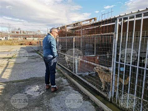 Защитници на животните организират протест с искане за закриване на общински приют за