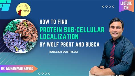 How To Find Protein Sub Cellular Localization Wolf Psort And Busca
