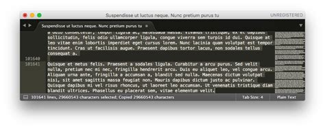 Macos Copying And Pasting Text Only Pastes A Hyphen Character Ask Different