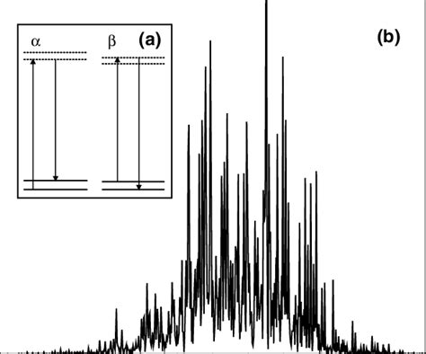 A Schematic Representation Of The Execution Of A Two Qubit Fourier