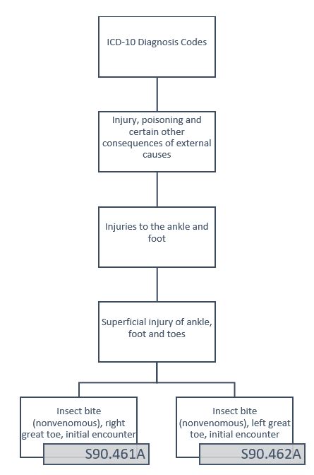 Taxonomy Ia And Seo Vizion Interactive