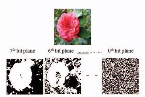 Figure 2 From Design Of A Color Palette Based Image Steganography Algorithm For Fractal Images