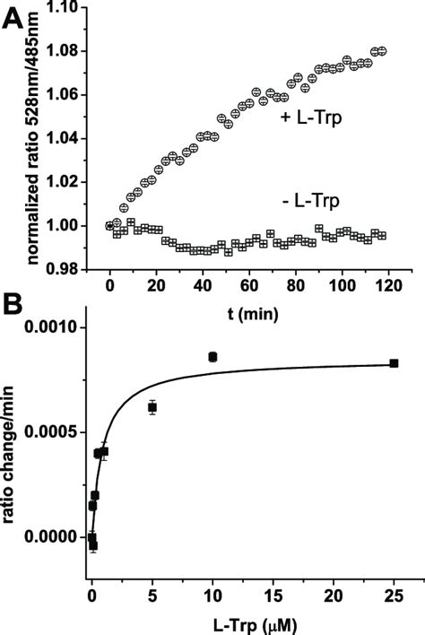Uptake Of Tryptophan By Cos 7 Cell Cultures In 96 Well Microplates