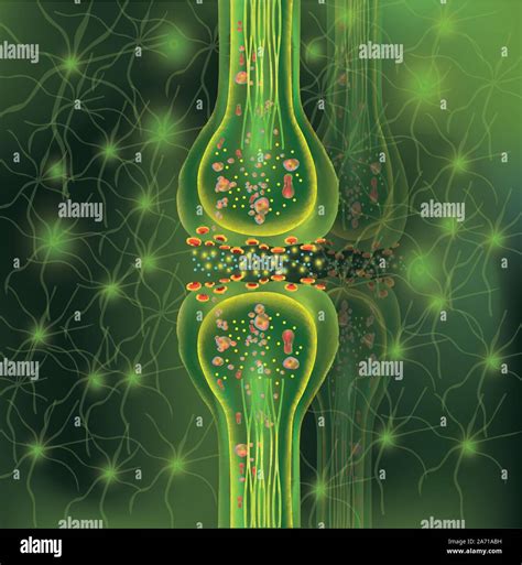 3D synapse and Neuron cells. Transmission signal of impulse in a living organism. Communication ...