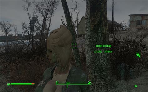 Load Order Help Fallout Technical Support LoversLab