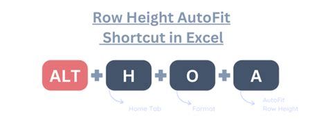 how to autofit in excel adjust cells to content