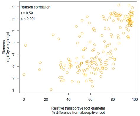 The Relationship With Biomass And Relative Root Diameter Each Point Download Scientific