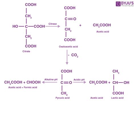 Citrate Test Medium Principle And Procedure For Citrate Utilization Test
