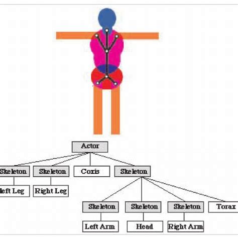 Diagram Of The Articulated Structure Of A Simplified Human Actor And