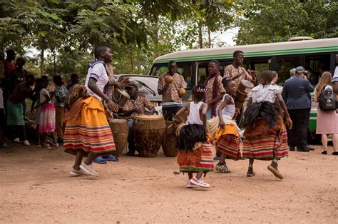 Australis Roofing And Cladding Sunshine Coast Qld