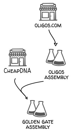 Dna Construction Strategies From Graph Algorithms Bricks And Scissors