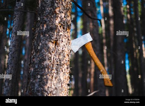 Tree Cutting Axe Hi Res Stock Photography And Images Alamy