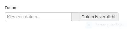 Html Bootstrap JQuery Validate Error Message Between Input And