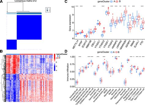 Identification Of 2 Distinct M6a Gene Patterns A Consensus Matrices Download Scientific