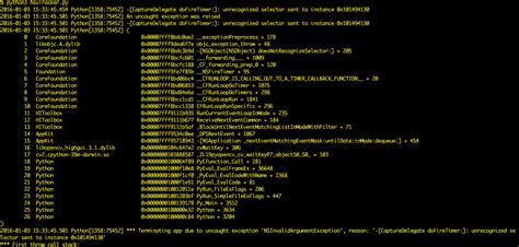 Why Camera Capture Is Crashing After Sometime In Opencv With Python