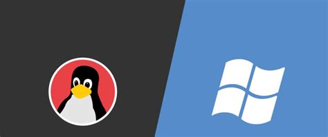 Complete Python Development Environment With Docker And Linux Gui Apps