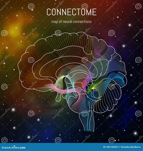 Neuroscience Infographic On Space Background Brain Cells Connectome