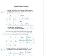 Solving Genetics Practice Problems For Babes Course Hero